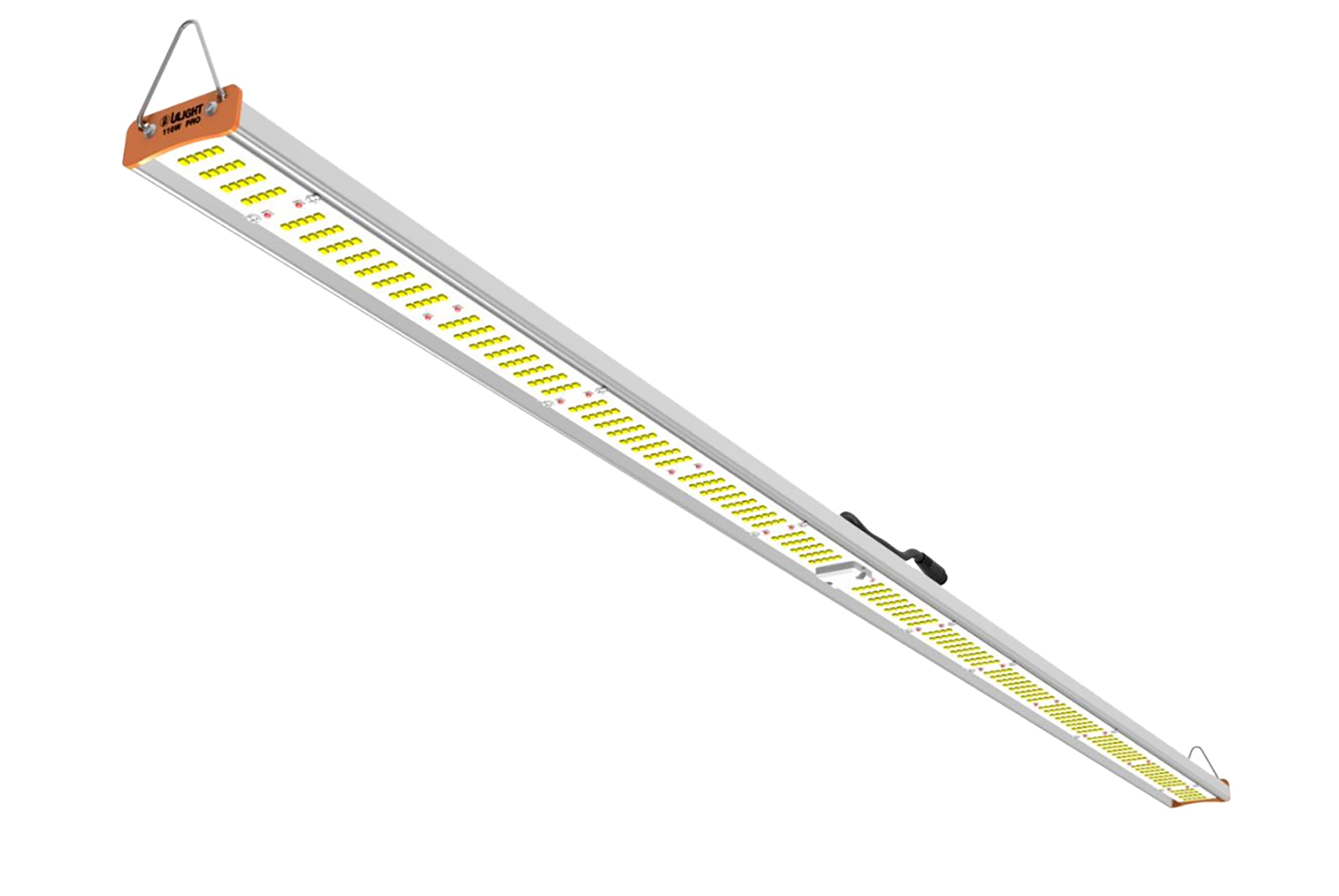 4298-02.jpg?v=1698892605