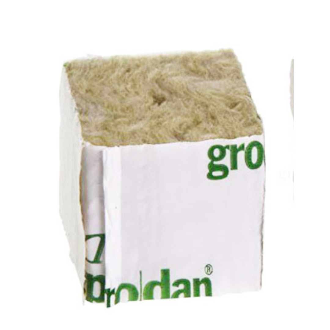 Home All products Grodan Cubes - 40mm x 40mm x 40mm