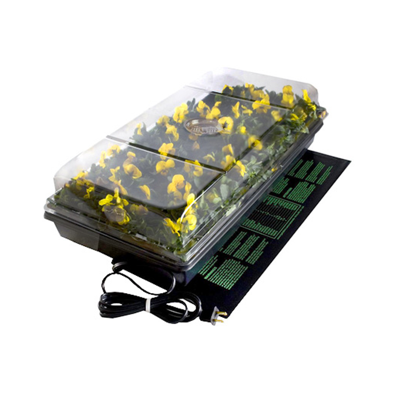 Roll over image to zoom in Click on image to zoom