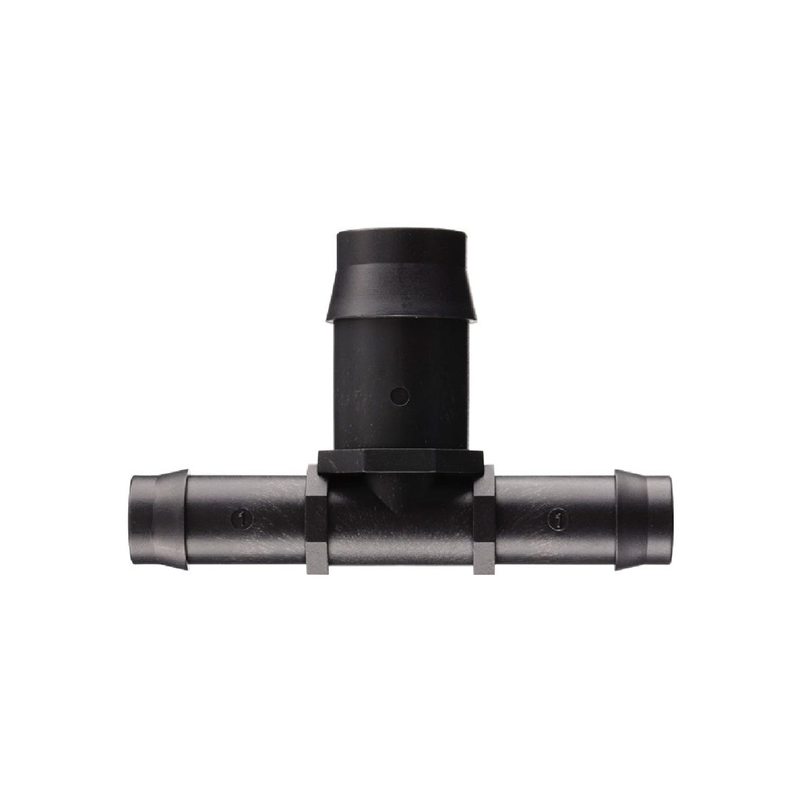 Roll over image to zoom in Click on image to zoom